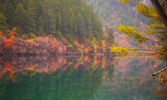 Conheça Jiuzhaigou, parque chinês de natureza exuberante
