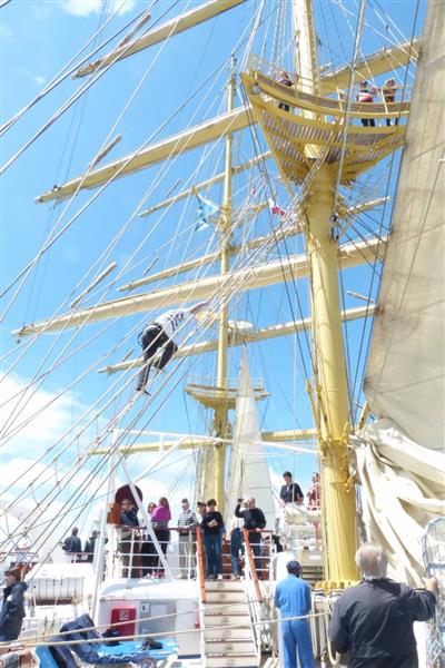 Royal Clipper: por dentro do maior veleiro do mundo; fotos